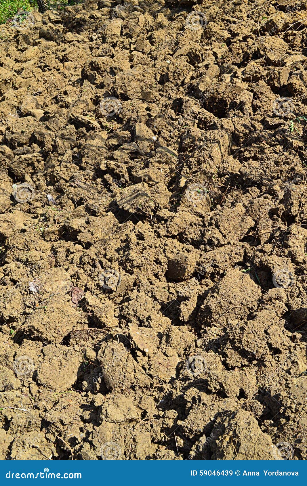 Freshly dug soil stock image. Image of background, horticulture - 59046439