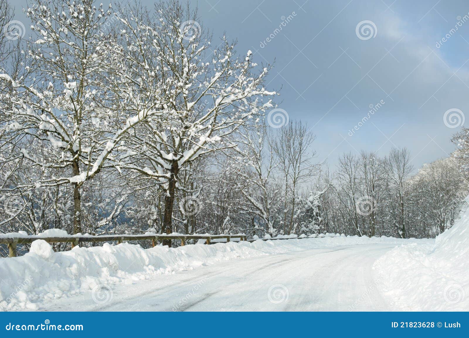 Freshly fallen snow stock photo. Image of scenics, country - 21823628