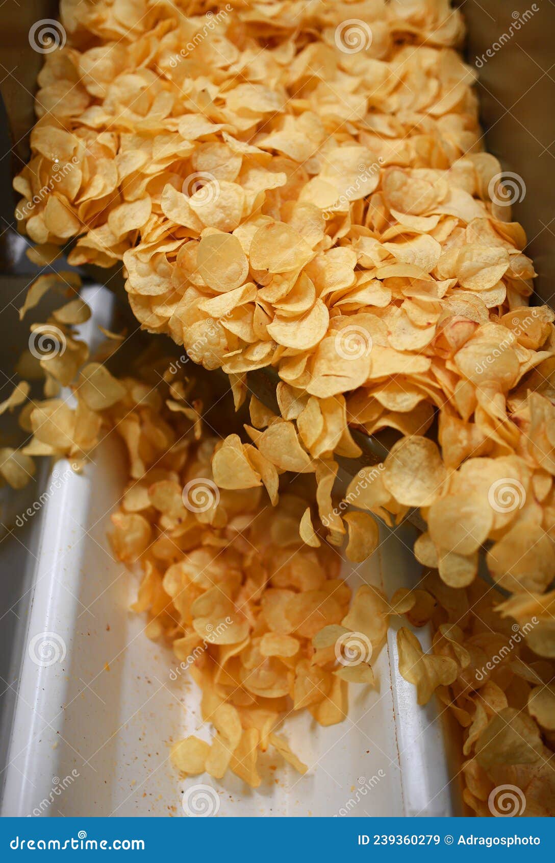 Freshly Fried Potato Chips on a Conveyor Stock Image - Image of ...