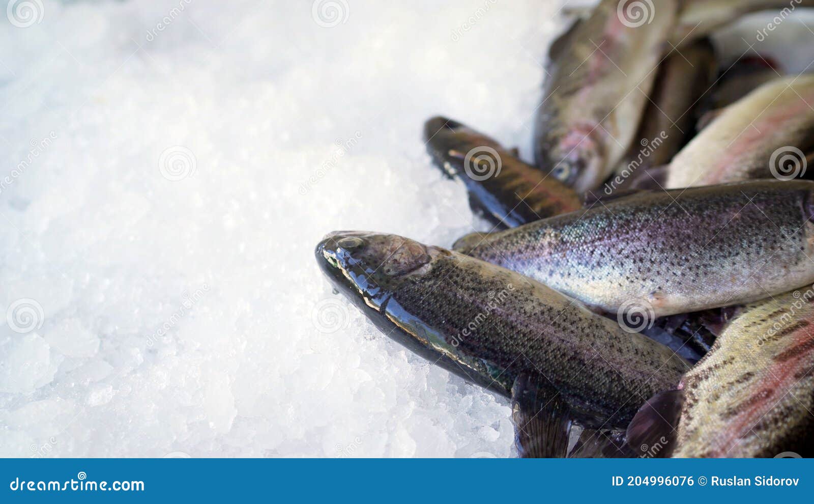 Freshly Frozen Fish on Store Shelves. Frozen Fish on the Shelves in the ...