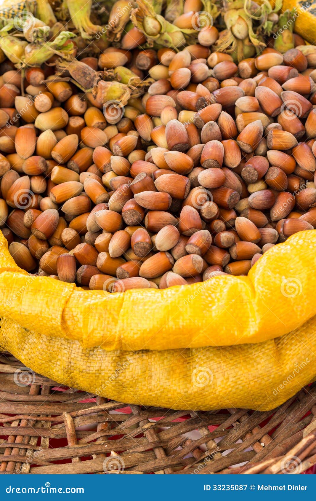 Freshly Gathered Turkish Hazelnut Stock Image - Image of closeup, leaf ...