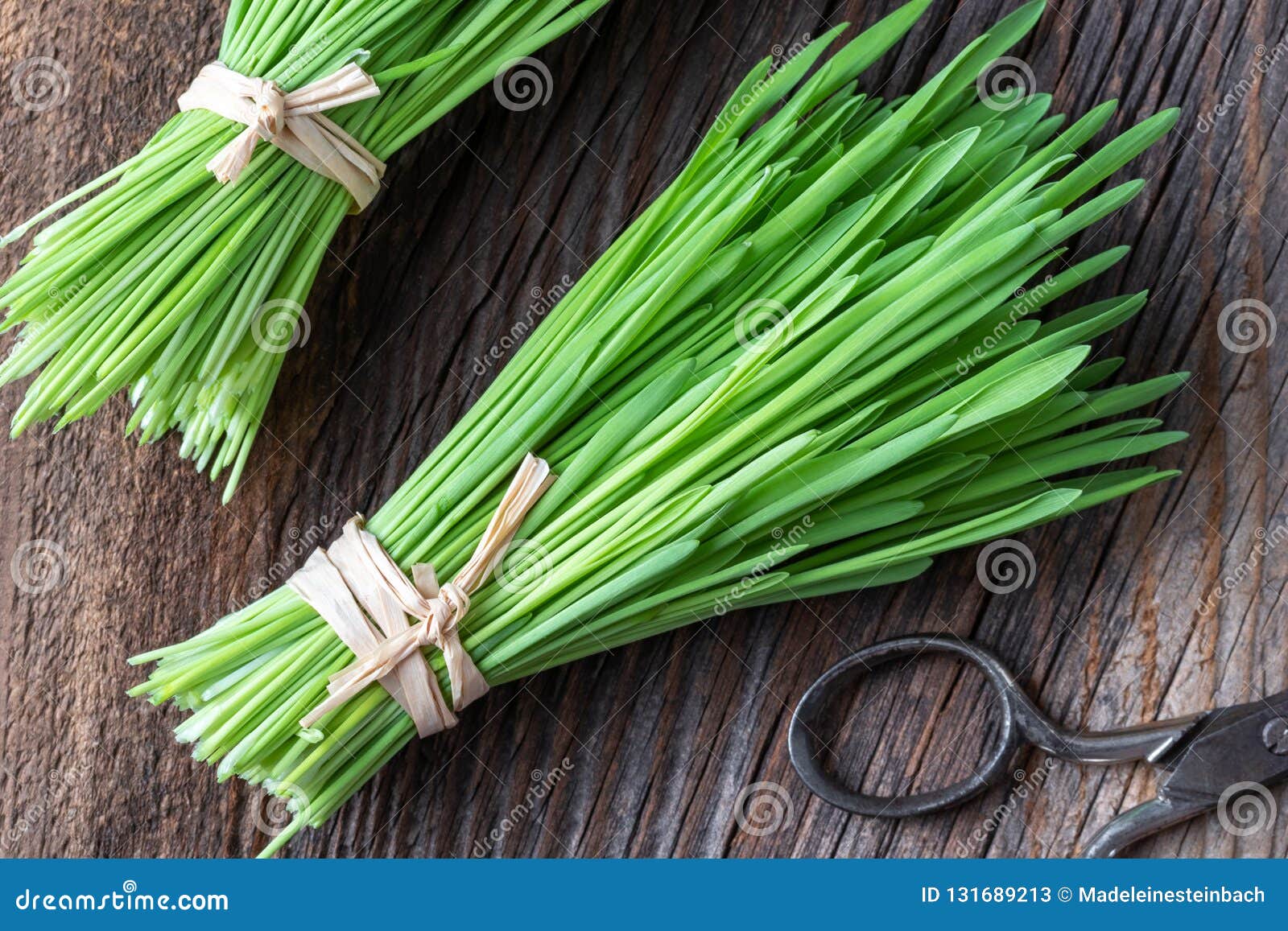 Freshly Harvested Barley Grass on a Rustic Background Stock Image ...