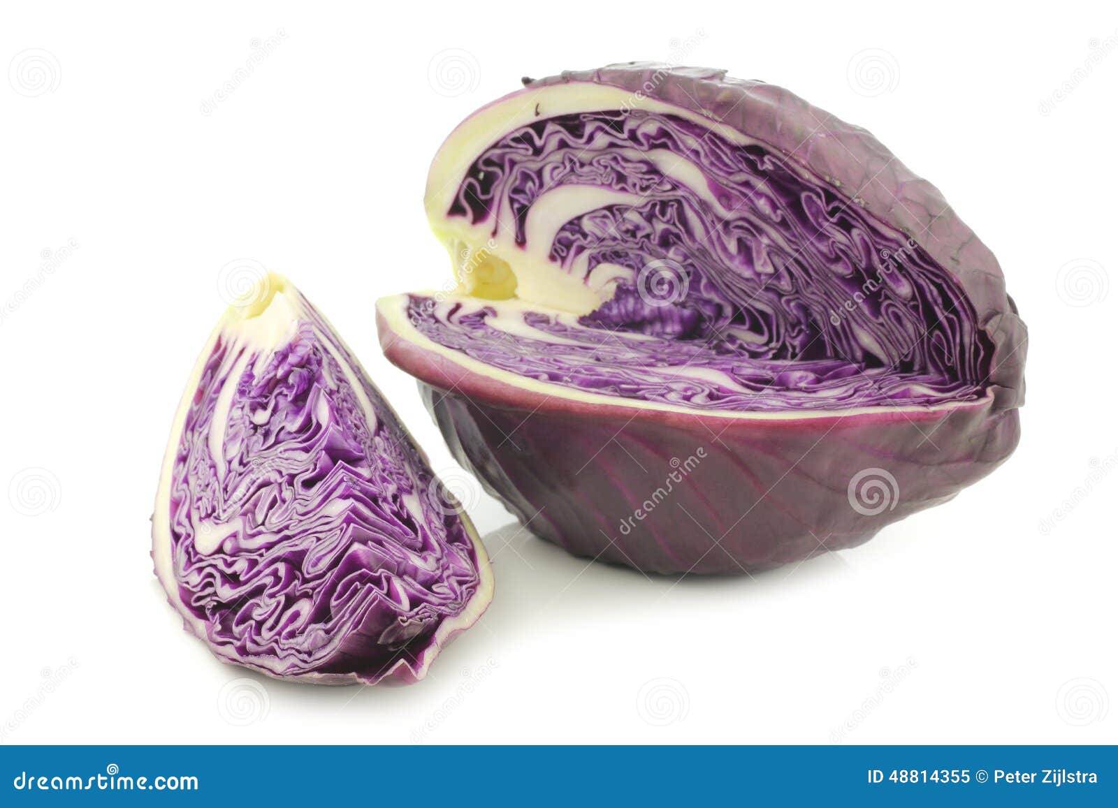 Freshly Harvested Cut Red Pointed Cabbage Stock Image - Image of ...