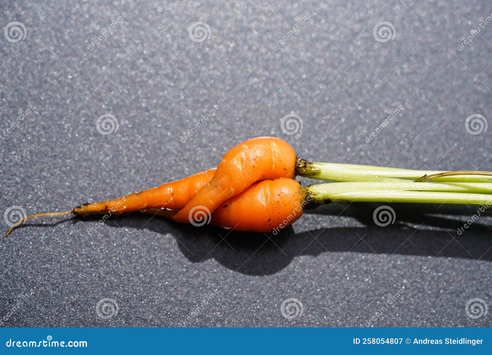 Freshly root vegetables stock image. Image of cooking - 258054807