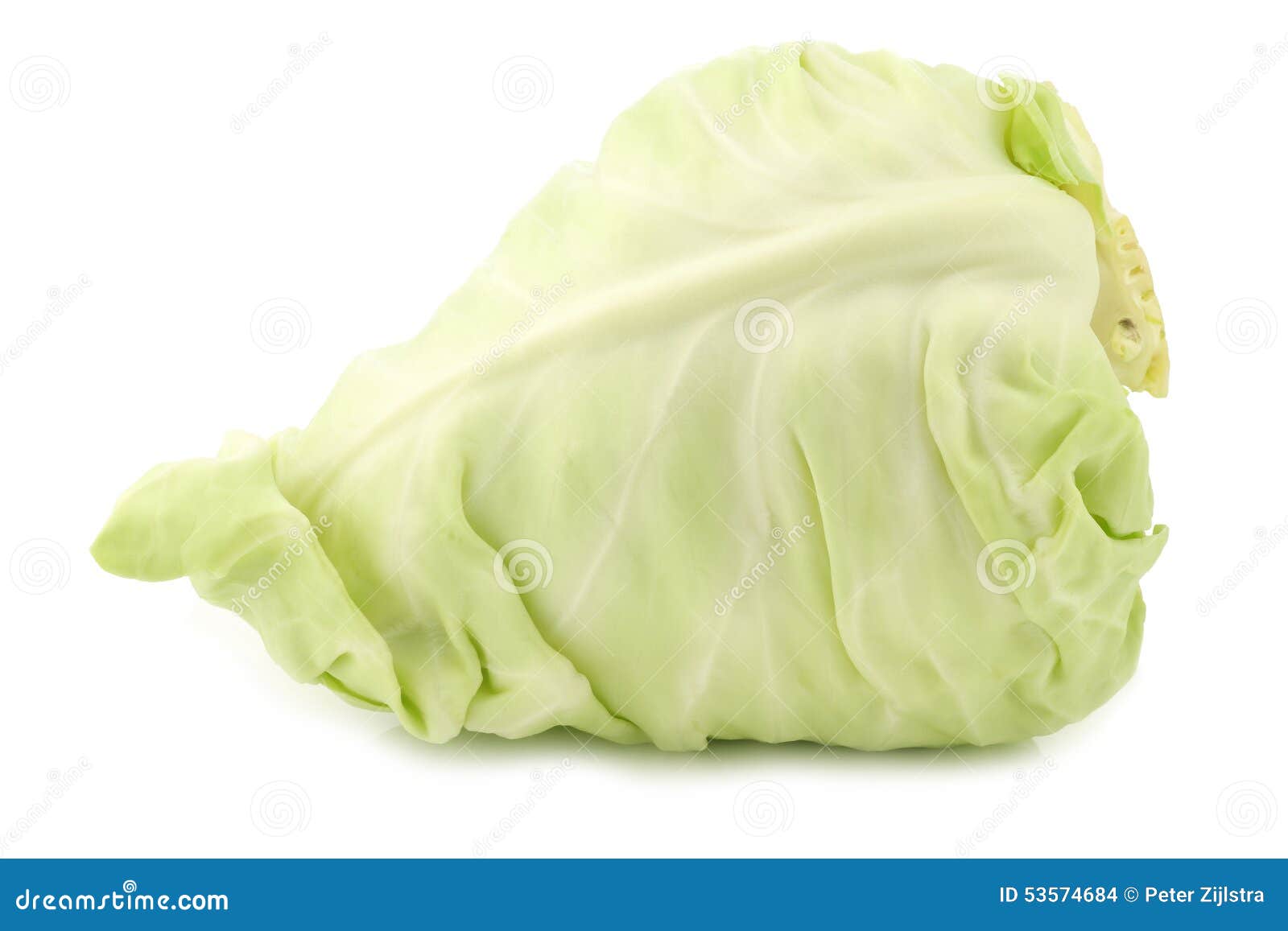 Freshly Harvested Green Pointed Cabbage Stock Photo - Image of cabbage ...