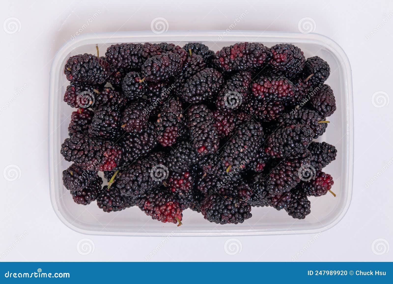 Freshly Harvested Mulberries on White Background Stock Photo - Image of ...