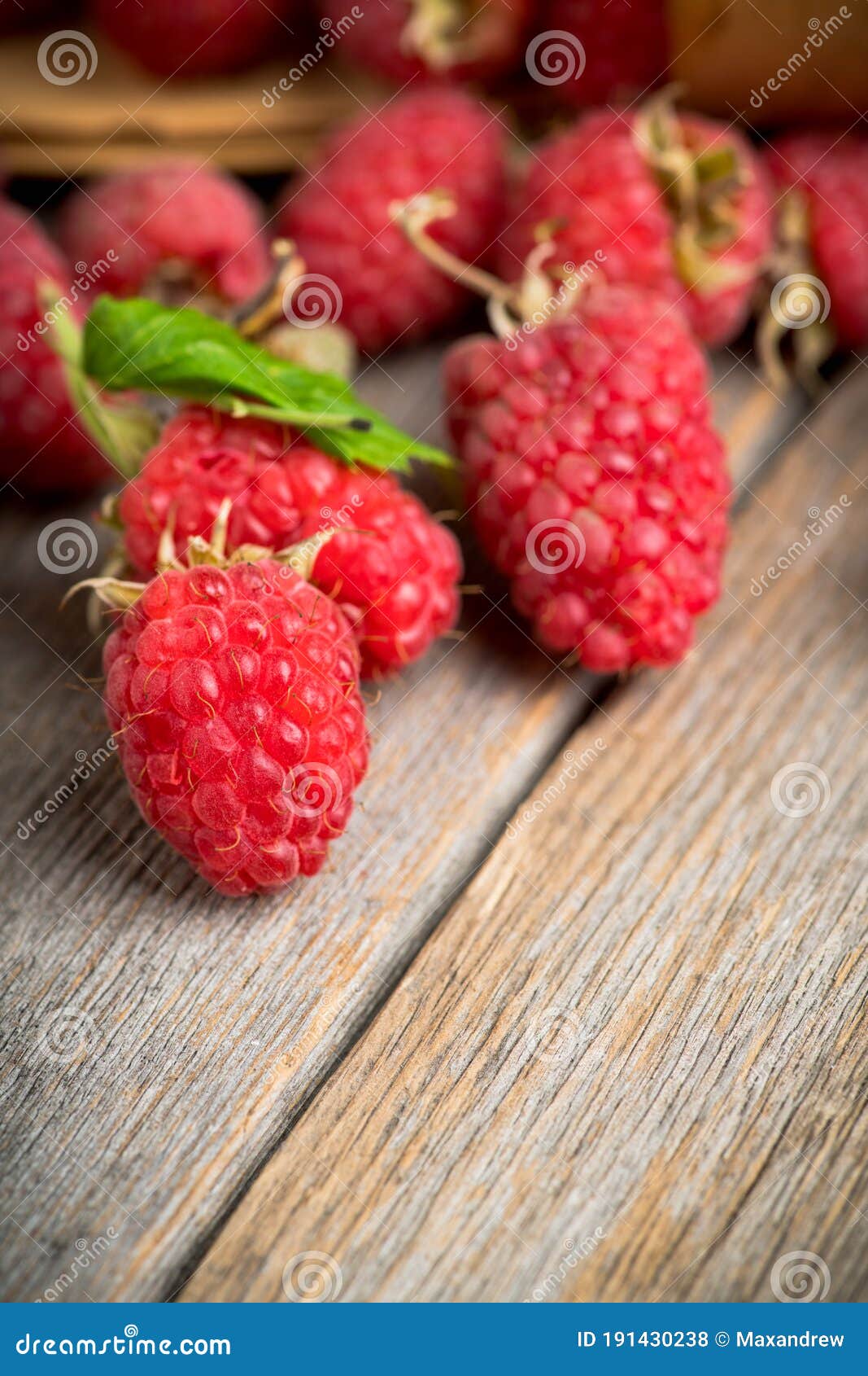 Freshly Harvested Raspberry on the Rustic Wooden Background Stock Photo ...