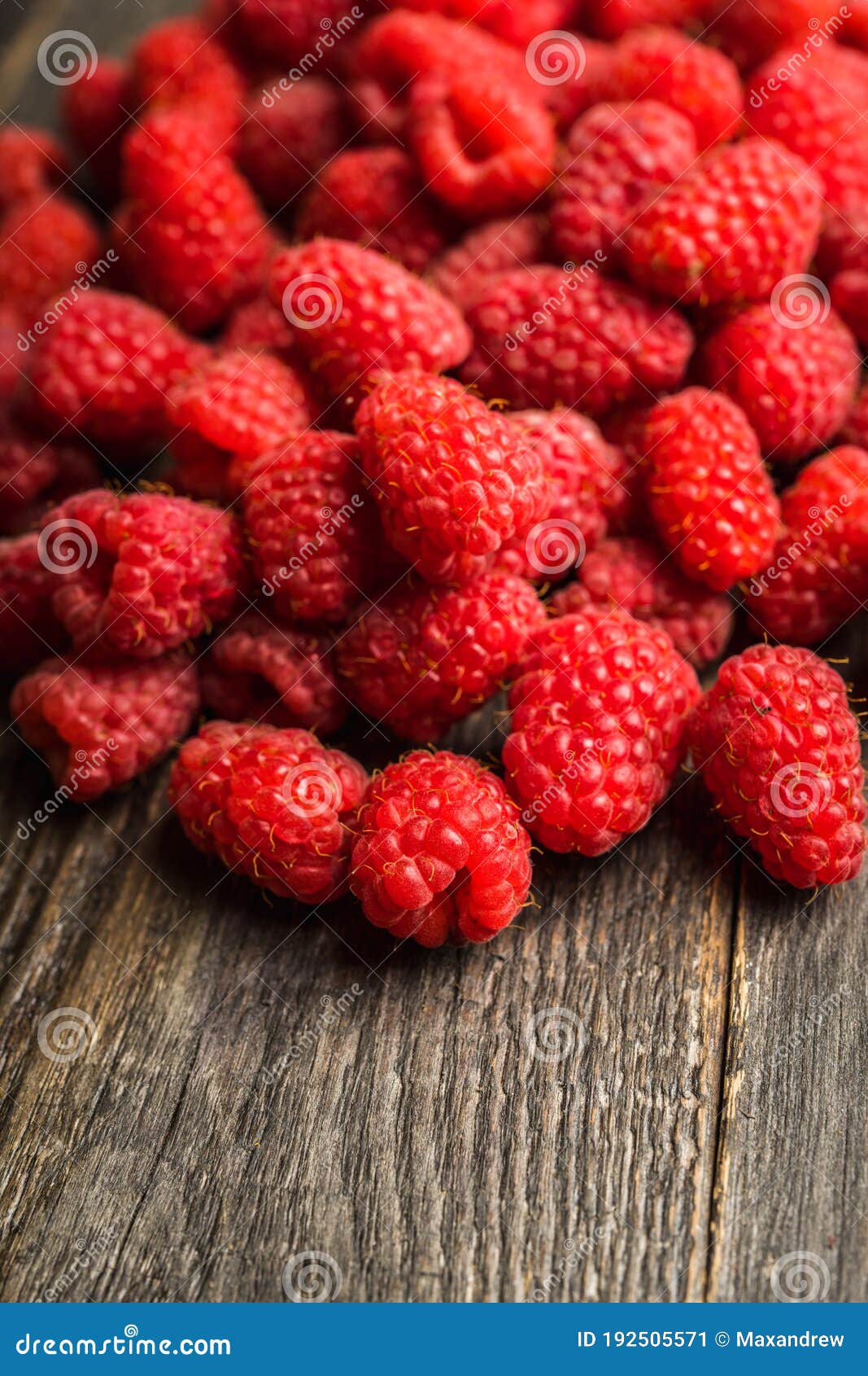 Freshly Harvested Raspberry on the Rustic Wooden Background. Selective ...