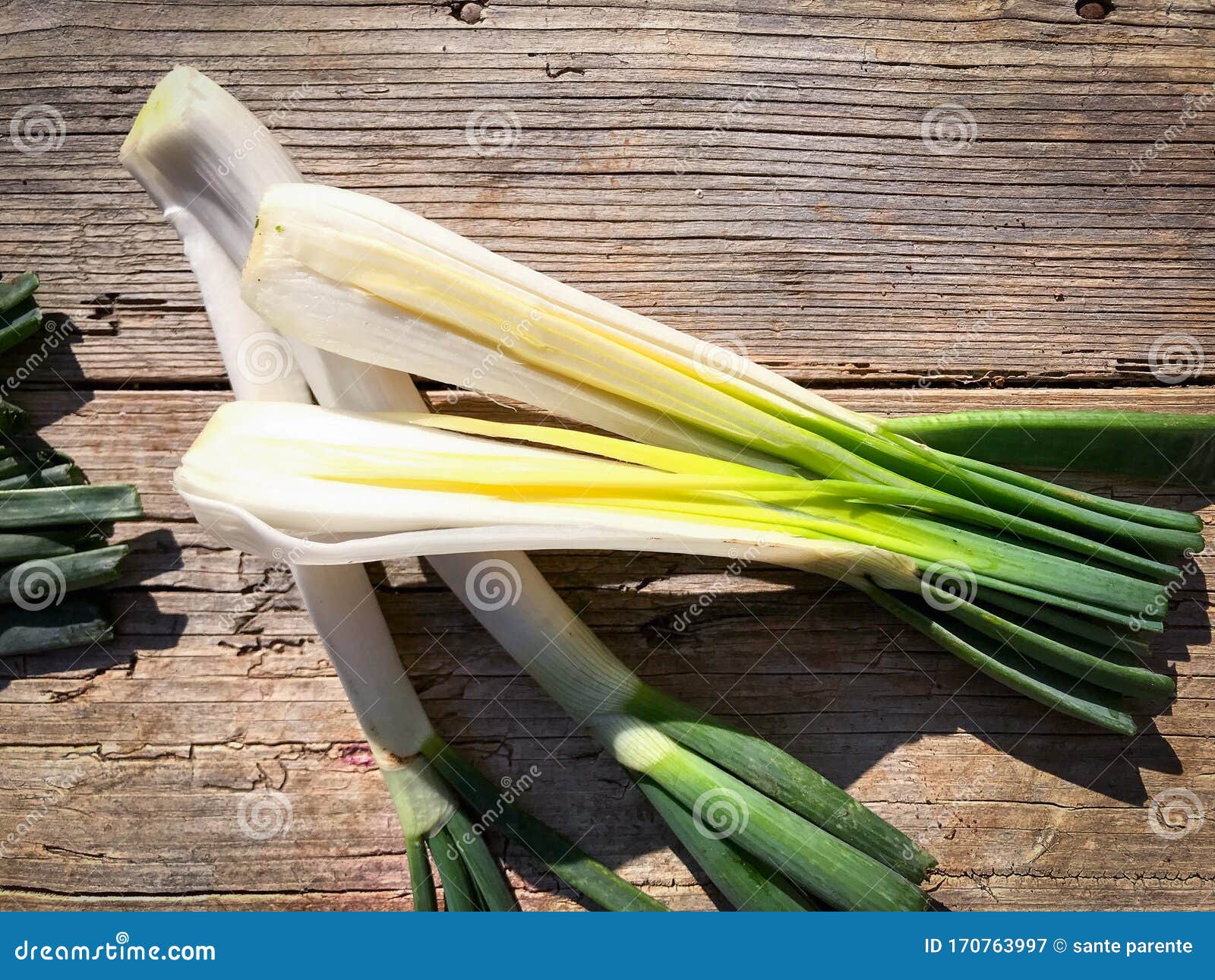Freshly Harvested Spring Onions from the Farm Stock Image - Image of ...