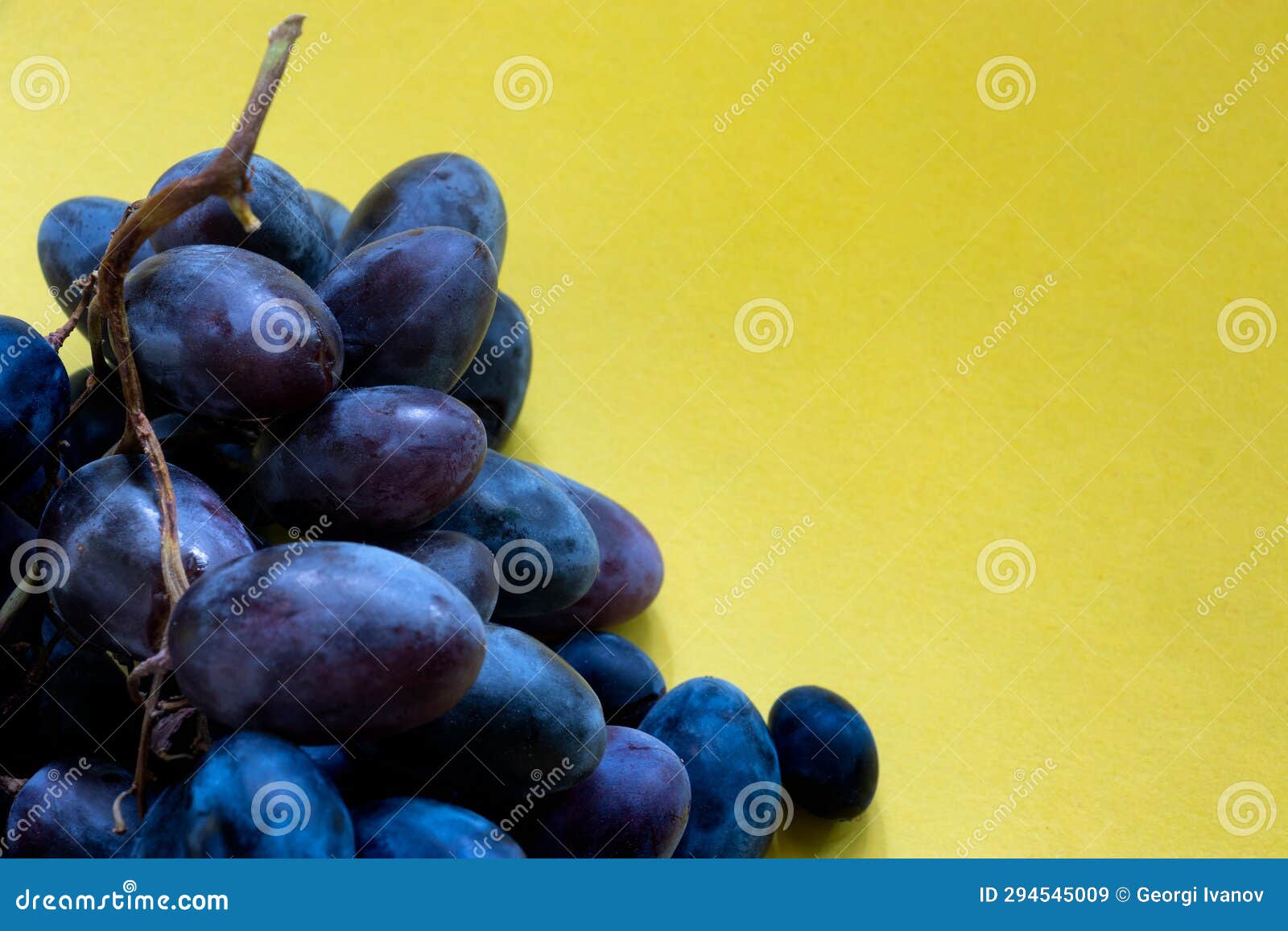 Blue grapes stock image. Image of vine, background, wine - 294545009