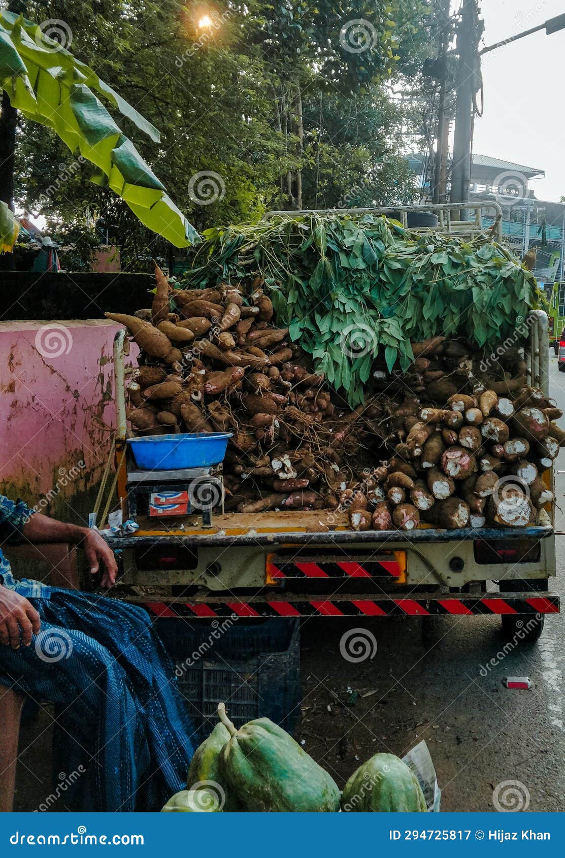 Freshly Harvested Tapioca Kept in Road Side of Kerala India Stock Image ...