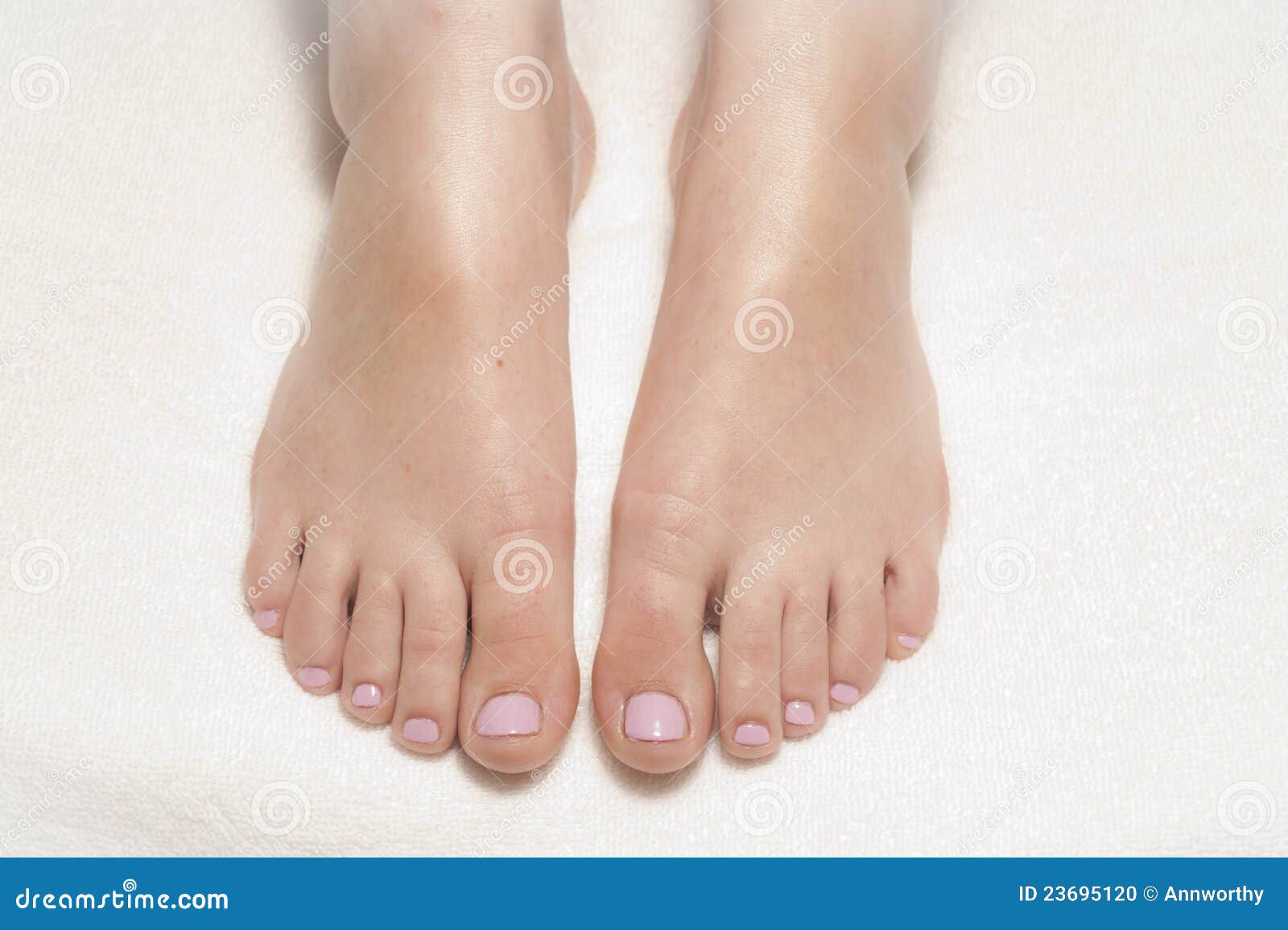 Freshly Painted Pink Toenails Stock Photo - Image of pampering, pink ...