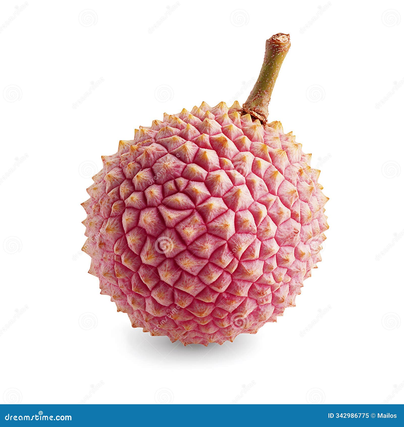 Freshly Peeled Lychee with Perfect Clipping Path Isolated on White ...
