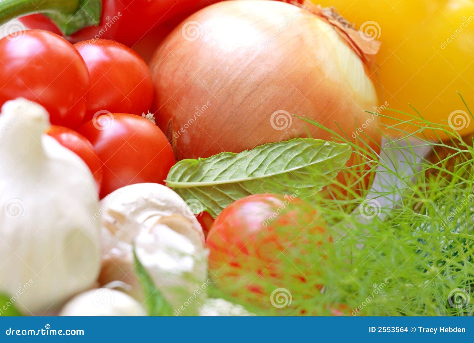 Freshly picked stock photo. Image of herb, herbs, catering - 2553564