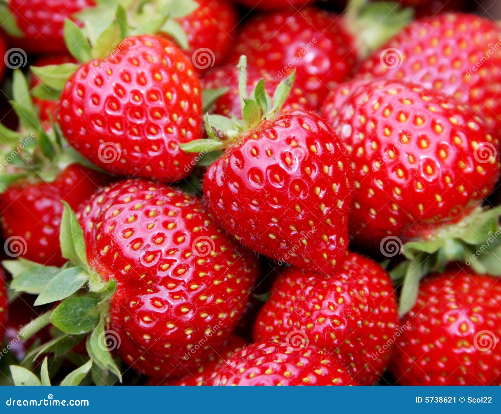 Freshly Picked stock image. Image of background, market - 5738621