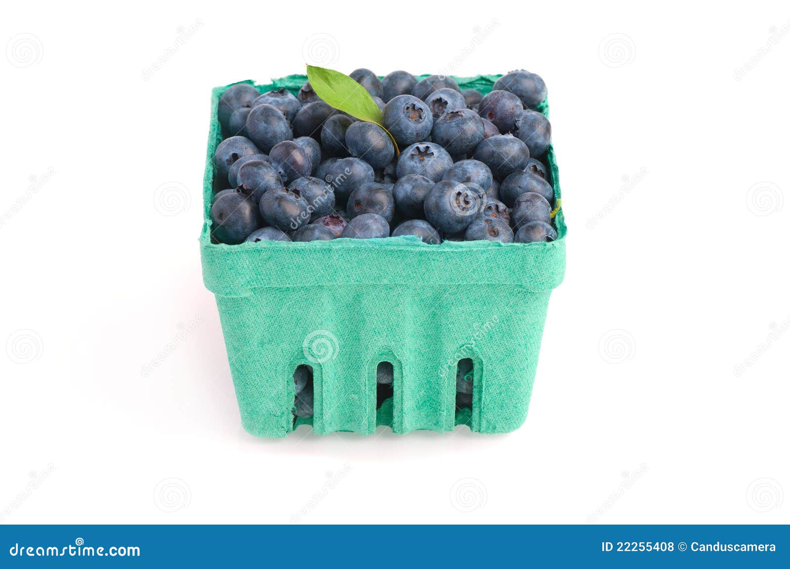 Freshly Picked Blueberries in a Basket on White Stock Photo - Image of ...