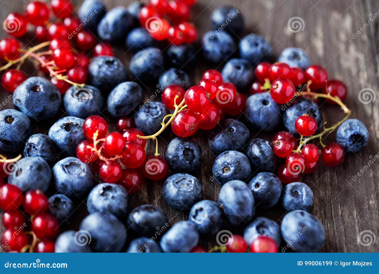 Freshly Picked Blueberries and Currant Stock Image - Image of eating ...