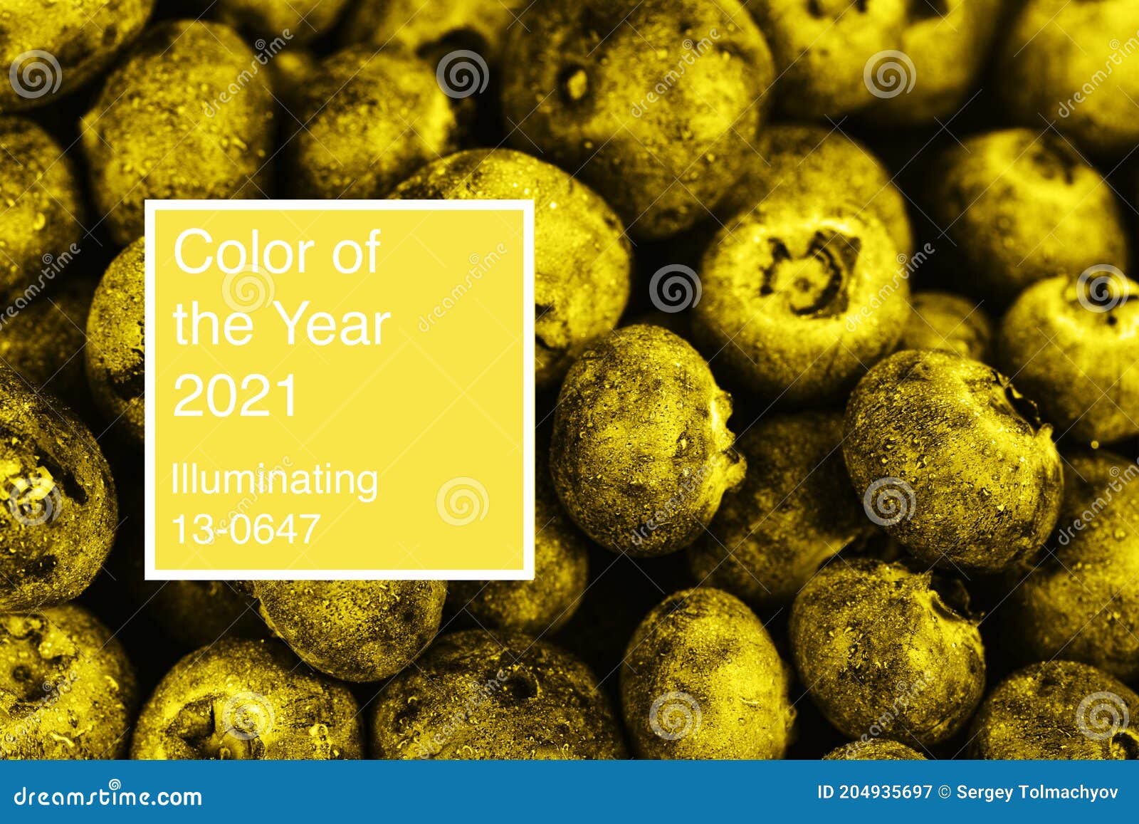 Freshly Picked Blueberries Toned in Yellow Color Editorial Photography ...