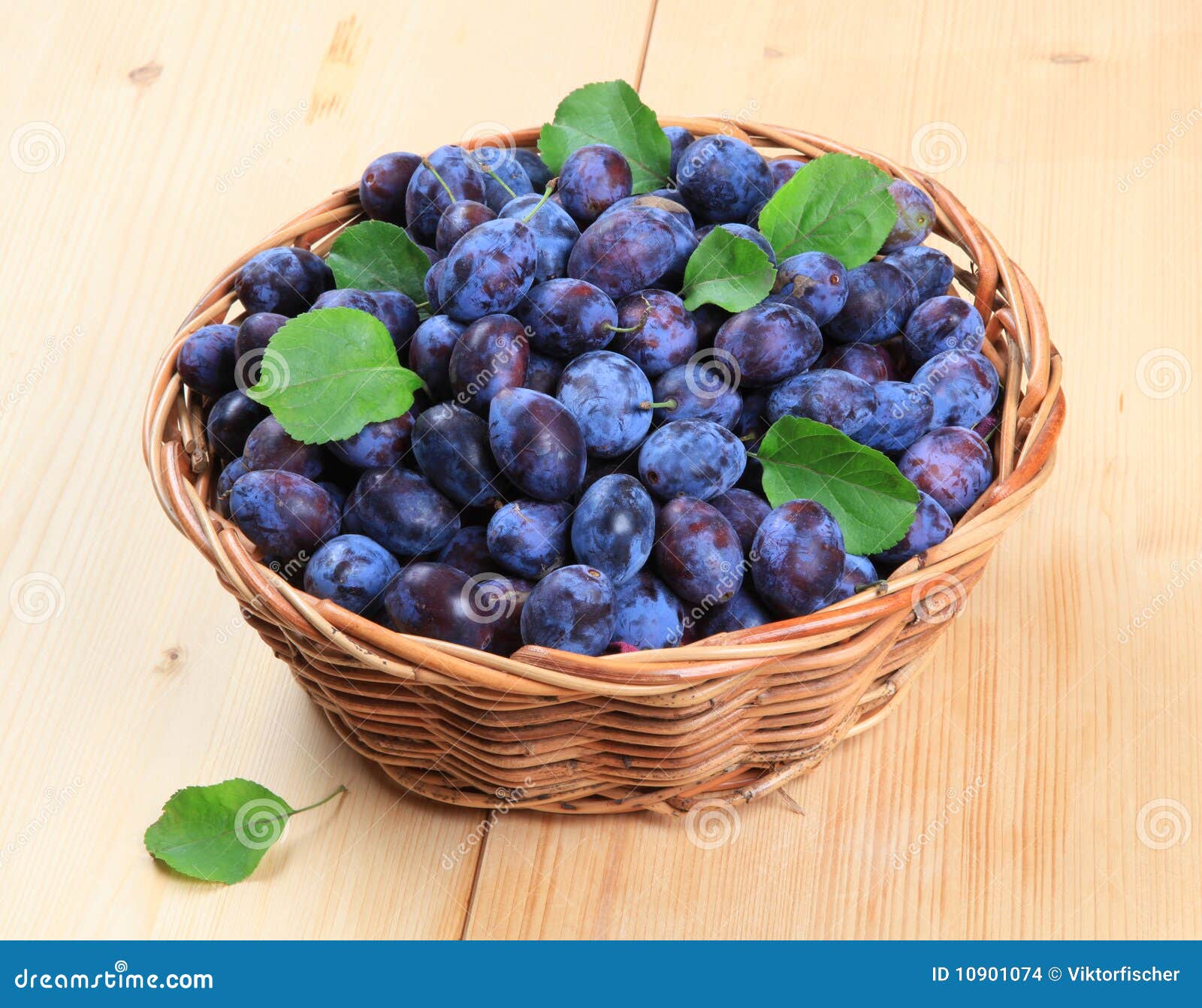 Freshly Picked Damson Plums Stock Photo - Image of insititia, italian ...
