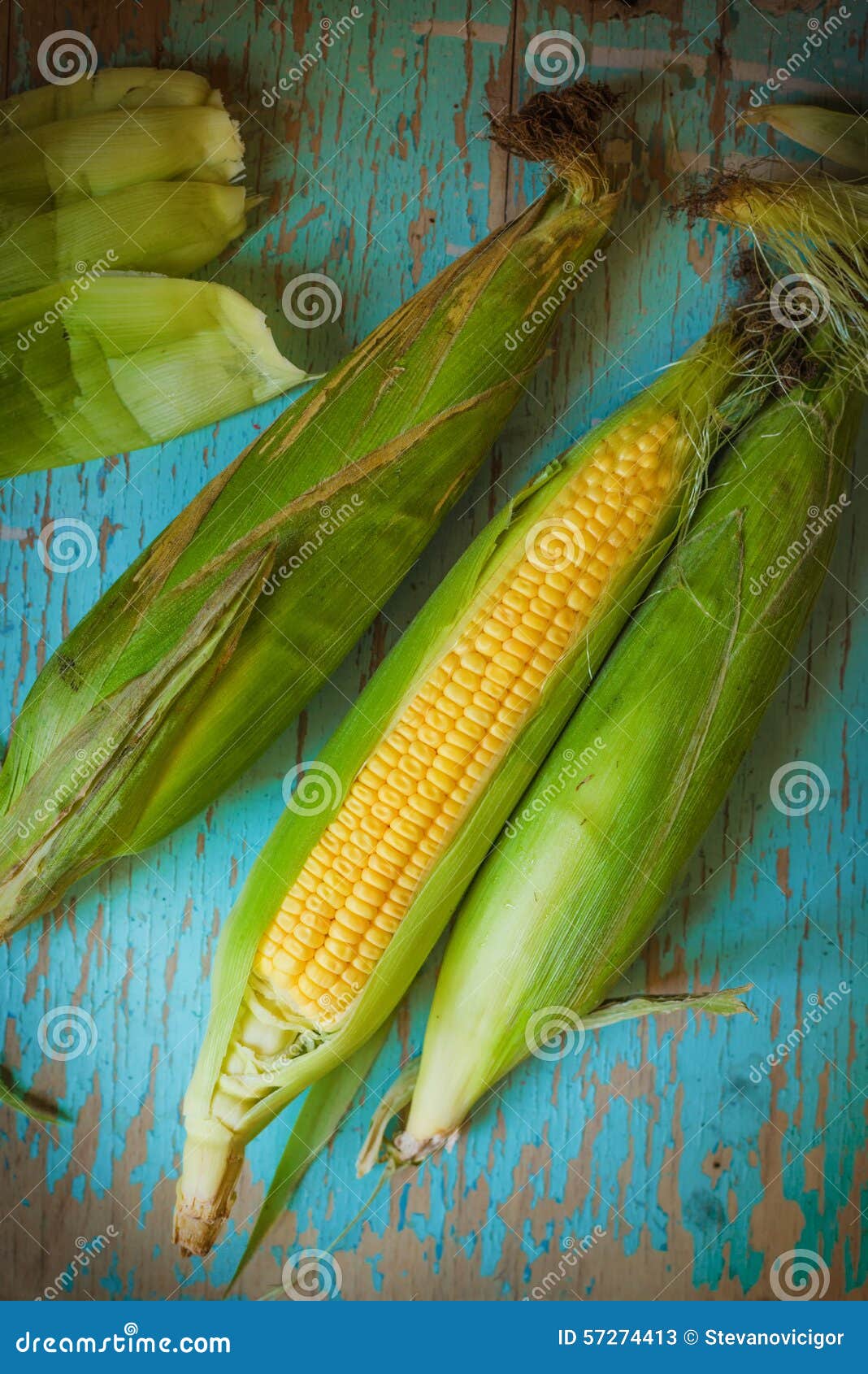 Freshly Picked Ear of Maize, Sweet Corn Cob Stock Image - Image of ...