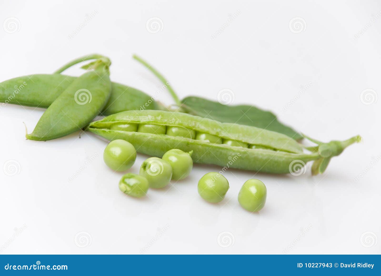 Freshly Picked Green Garden Peas Stock Image - Image of vegetable, grow ...