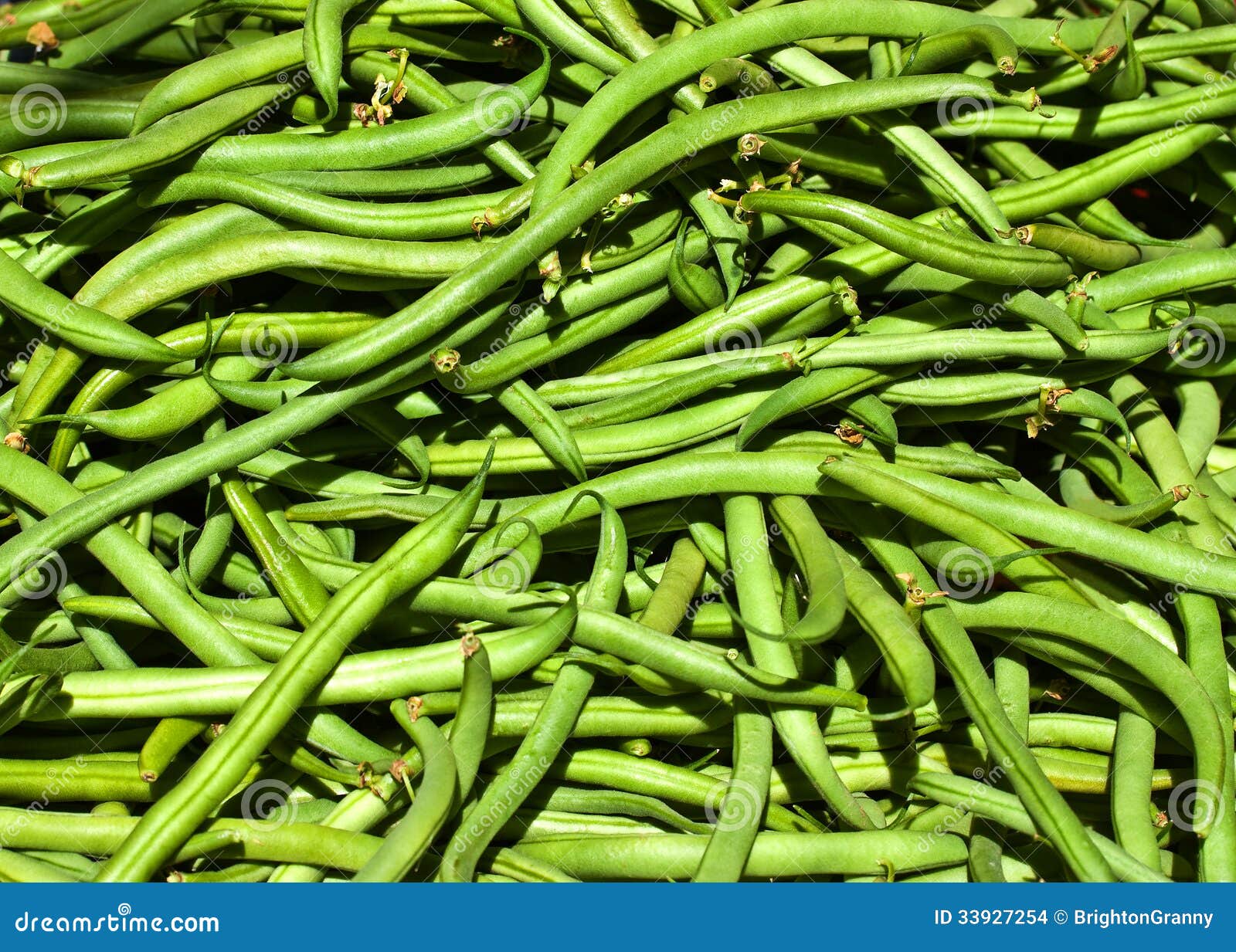 Freshly Picked Long Green Beans Stock Photo - Image of long, cultivated ...