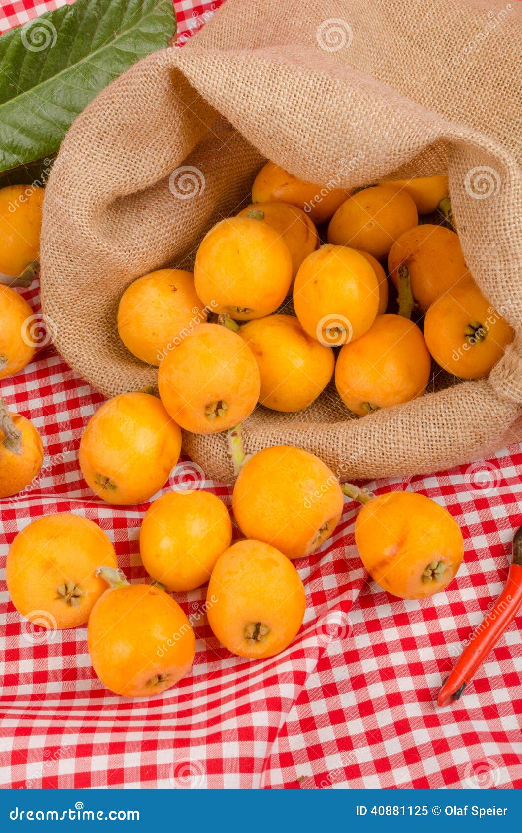 Freshly picked loquats stock image. Image of shears, fruit - 40881125