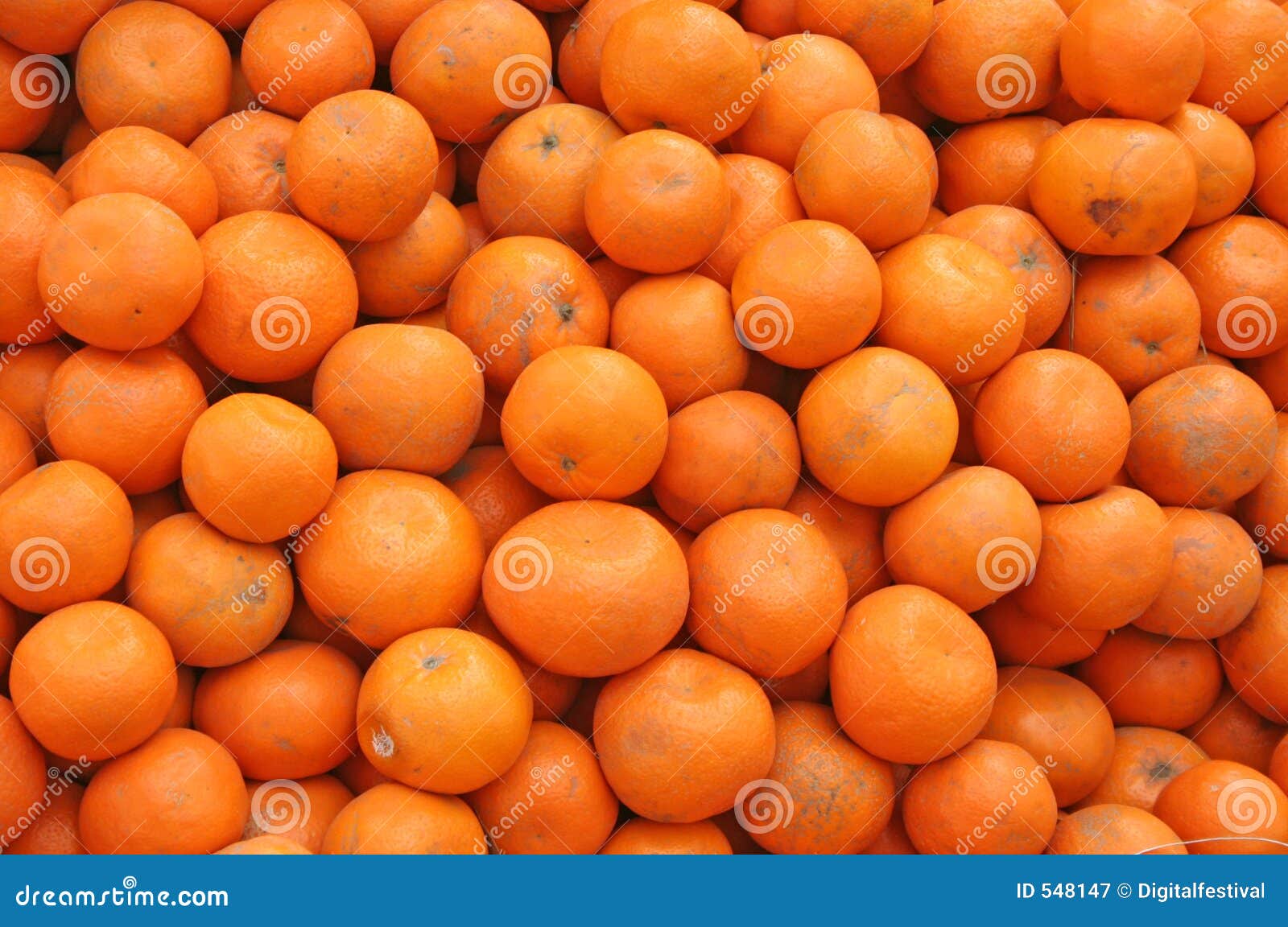 Freshly Picked Oranges India Stock Image - Image of orange, fitness: 548147
