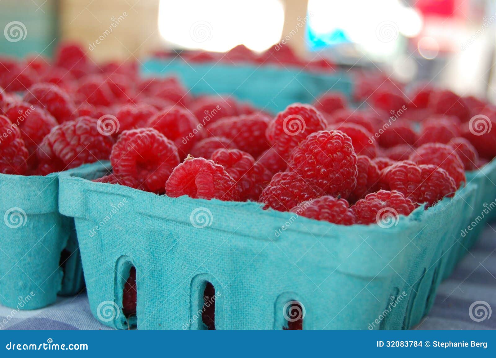 Freshly Picked Raspberries stock photo. Image of tasty - 32083784
