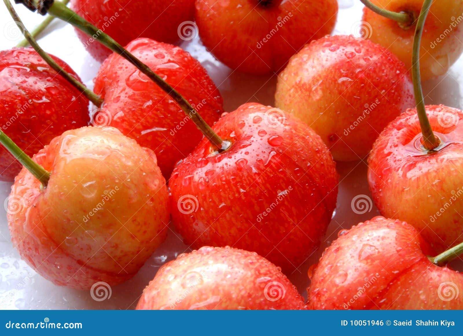 Freshly Picked Red Cherries Stock Photo - Image of delicious, ripe ...