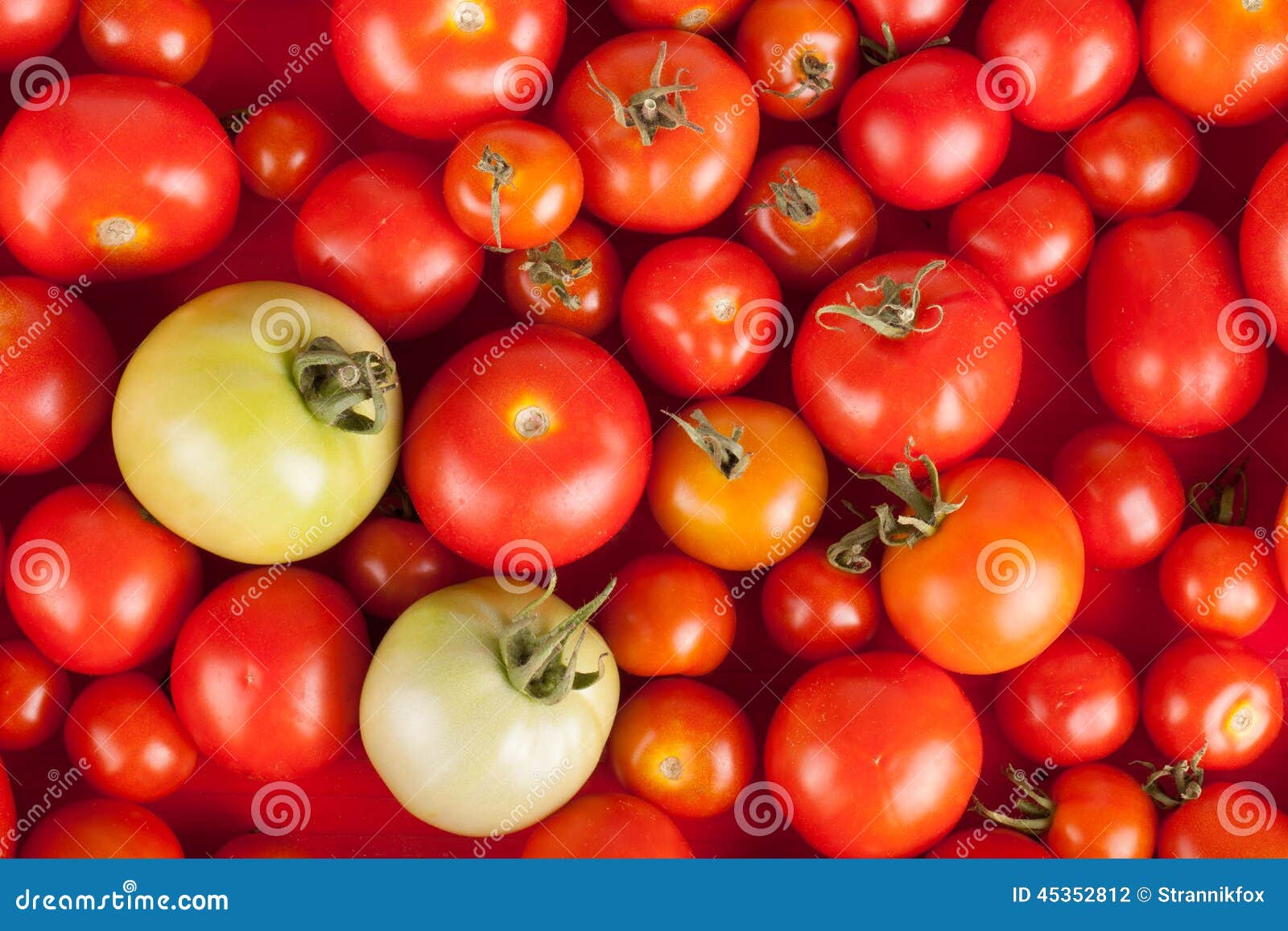 Freshly Picked Red Tomatoes in a Box Plus Two Green Stock Photo - Image ...