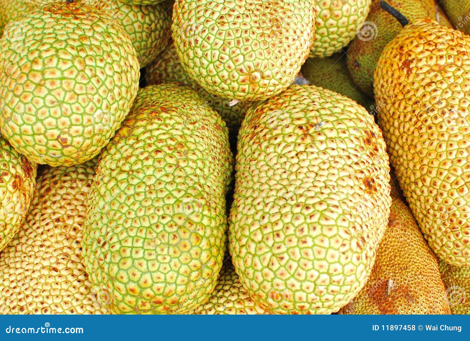 Borne Fruits Stock Photos - Free & Royalty-Free Stock Photos from ...