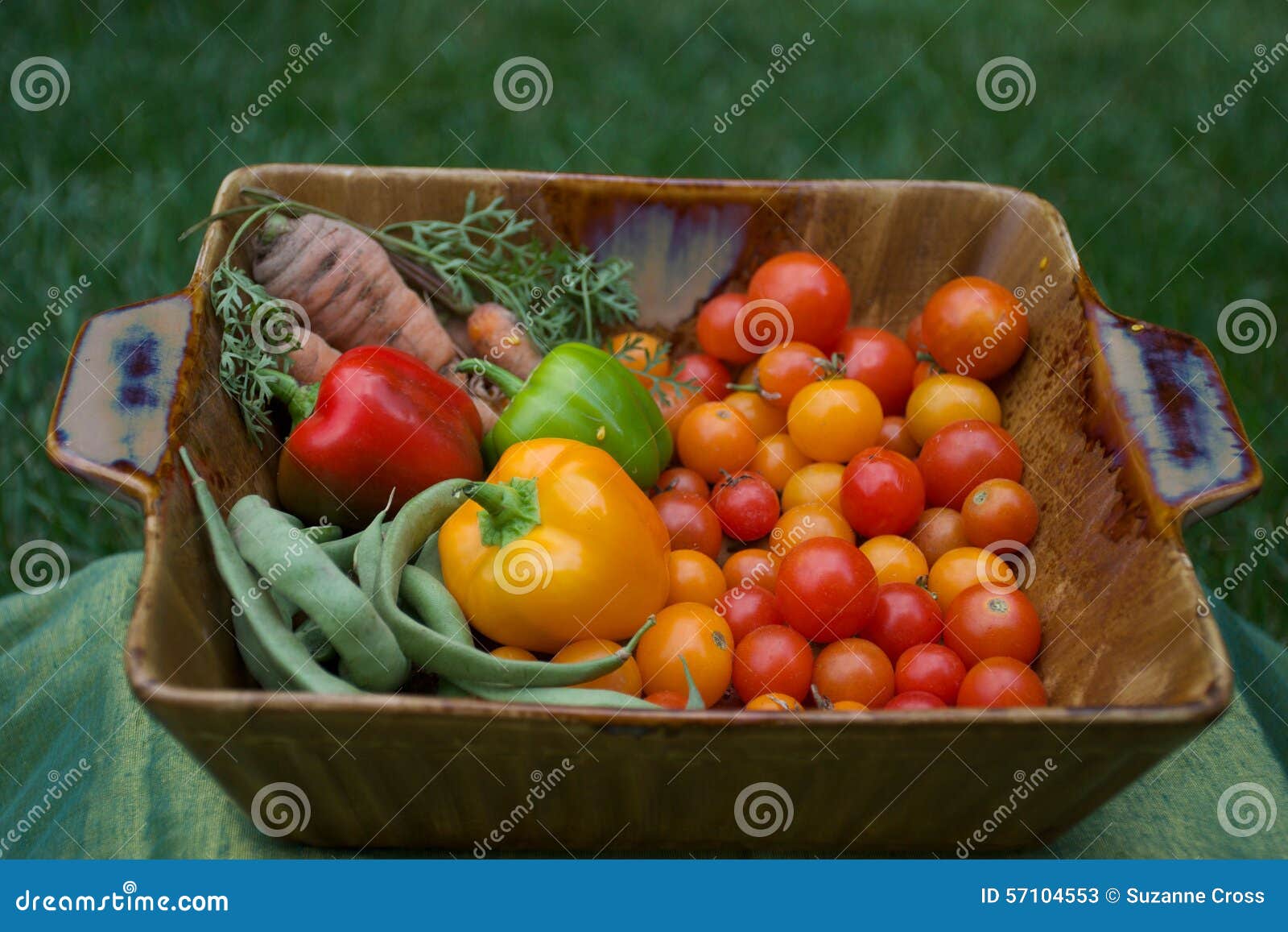 Freshly picked vegetables stock image. Image of school - 57104553