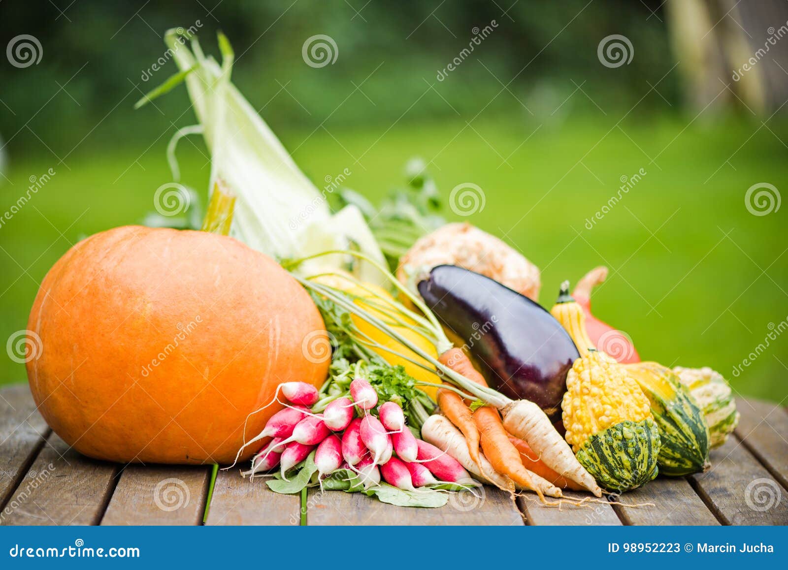 Freshly Picked Vegetables on Garden Table Stock Image - Image of space ... Freshly Picked Vegetables on Garden Table Stock Image - Image of space ...