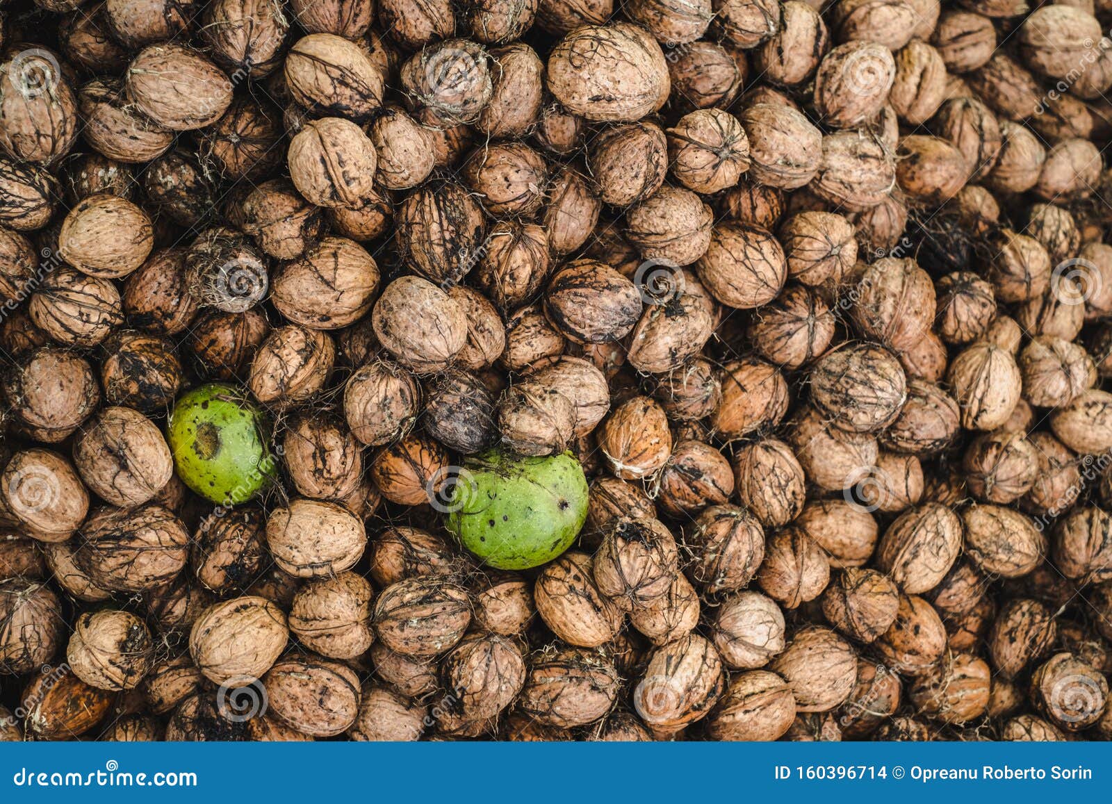 Freshly Picked Walnuts Background Texture Stock Photo - Image of ...