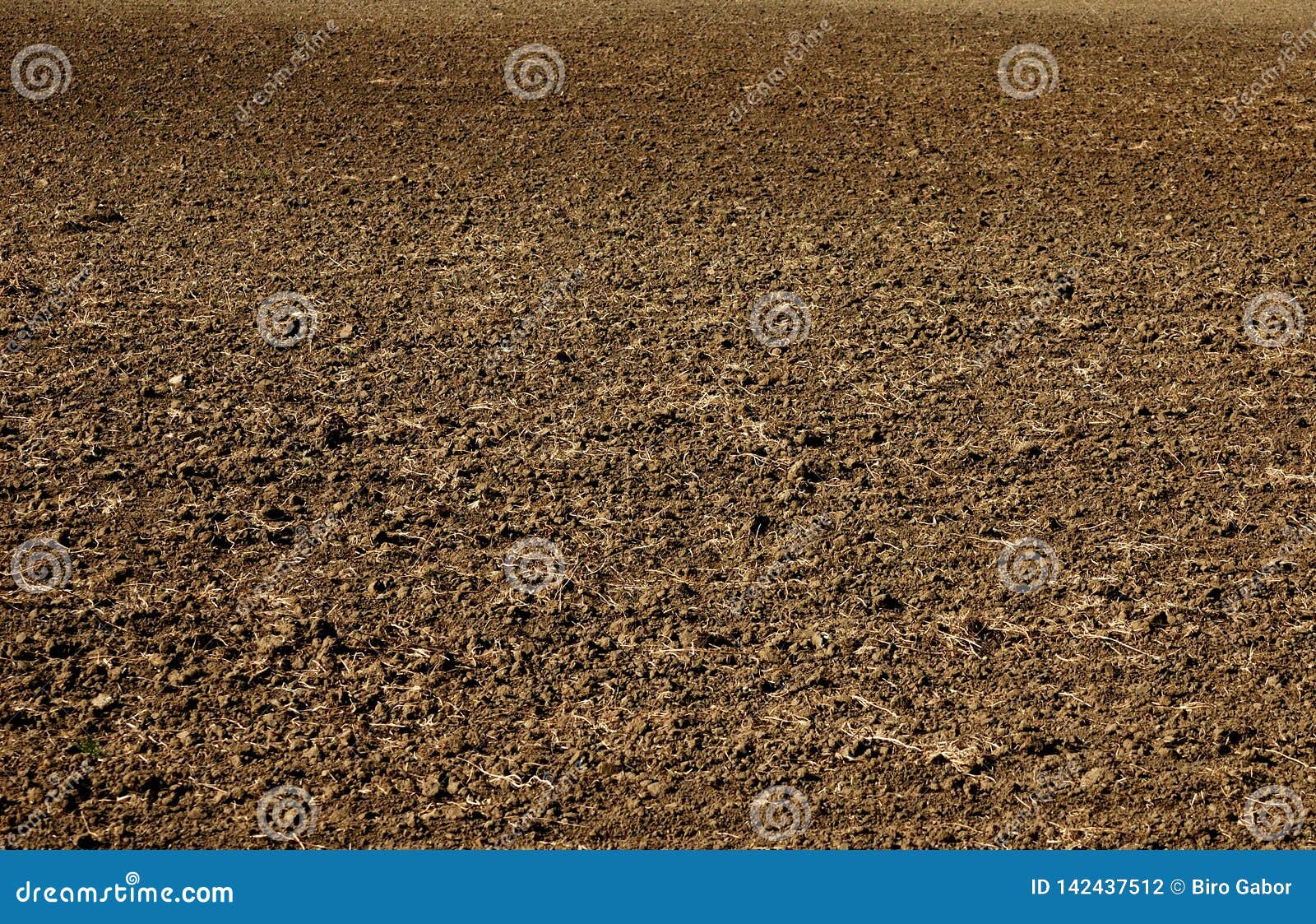 Freshly Planted Dirt for Agriculture. Stock Photo - Image of industry ...