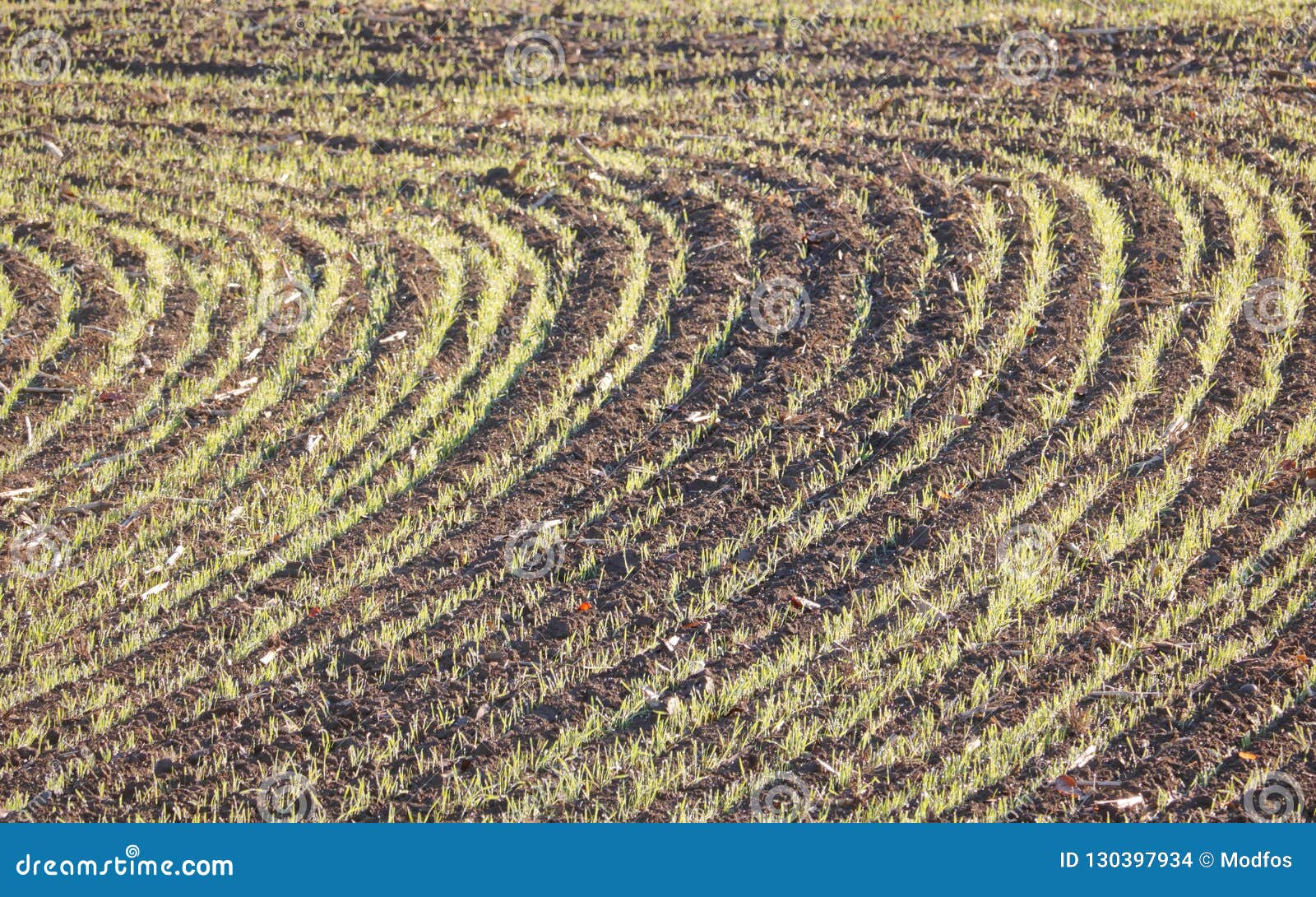 Freshly Planted Farm Land and Pattern Stock Photo - Image of brown ...