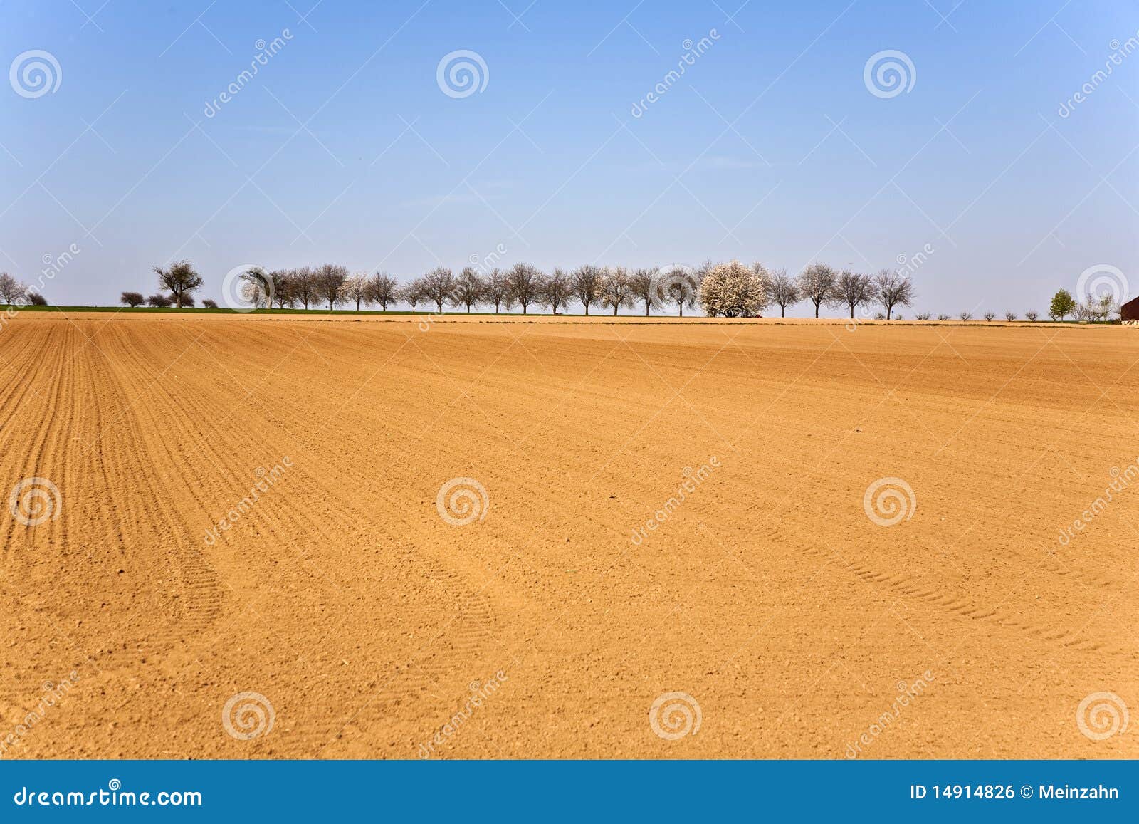 Freshly Ploughed Acre with Row of Trees Stock Photo - Image of farm ...