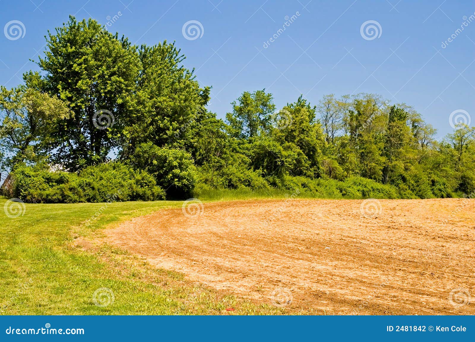 Freshly plowed field stock photo. Image of green, farming - 2481842