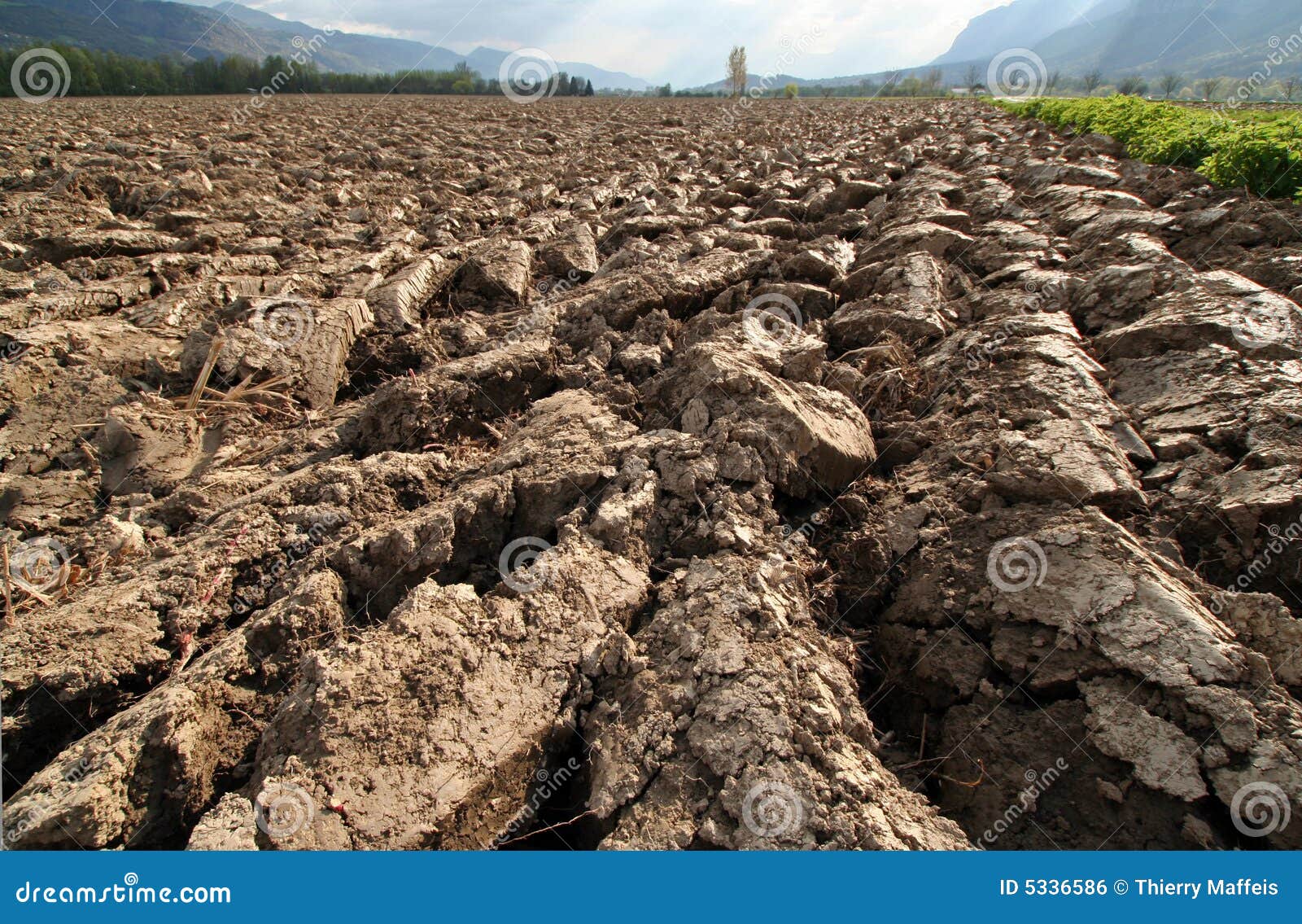 Freshly plowed field stock photo. Image of rural, bottom - 5336586