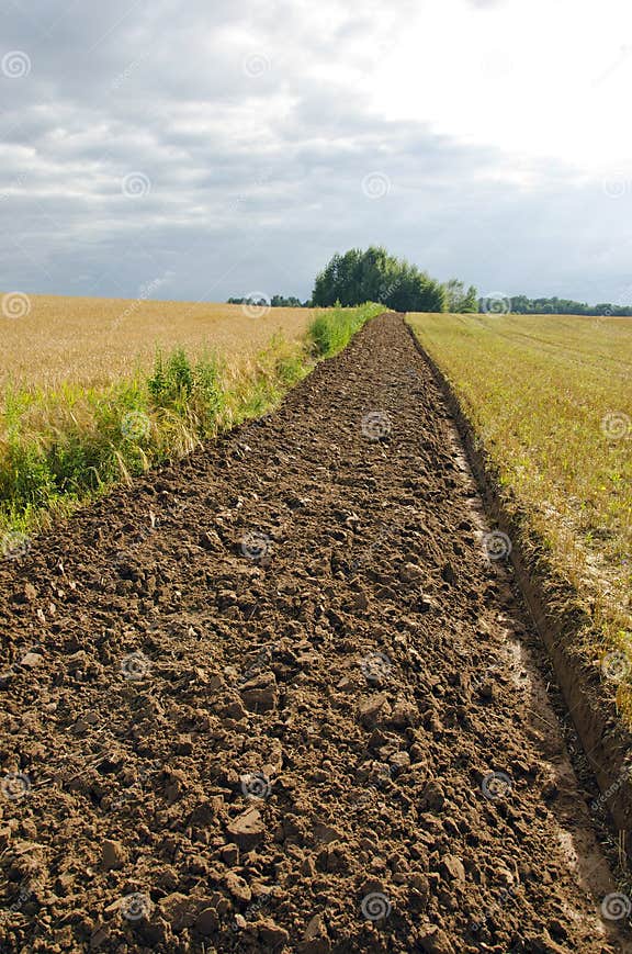Freshly Plowed Field Furrow. Stock Photo - Image of furrow, brown: 21545604
