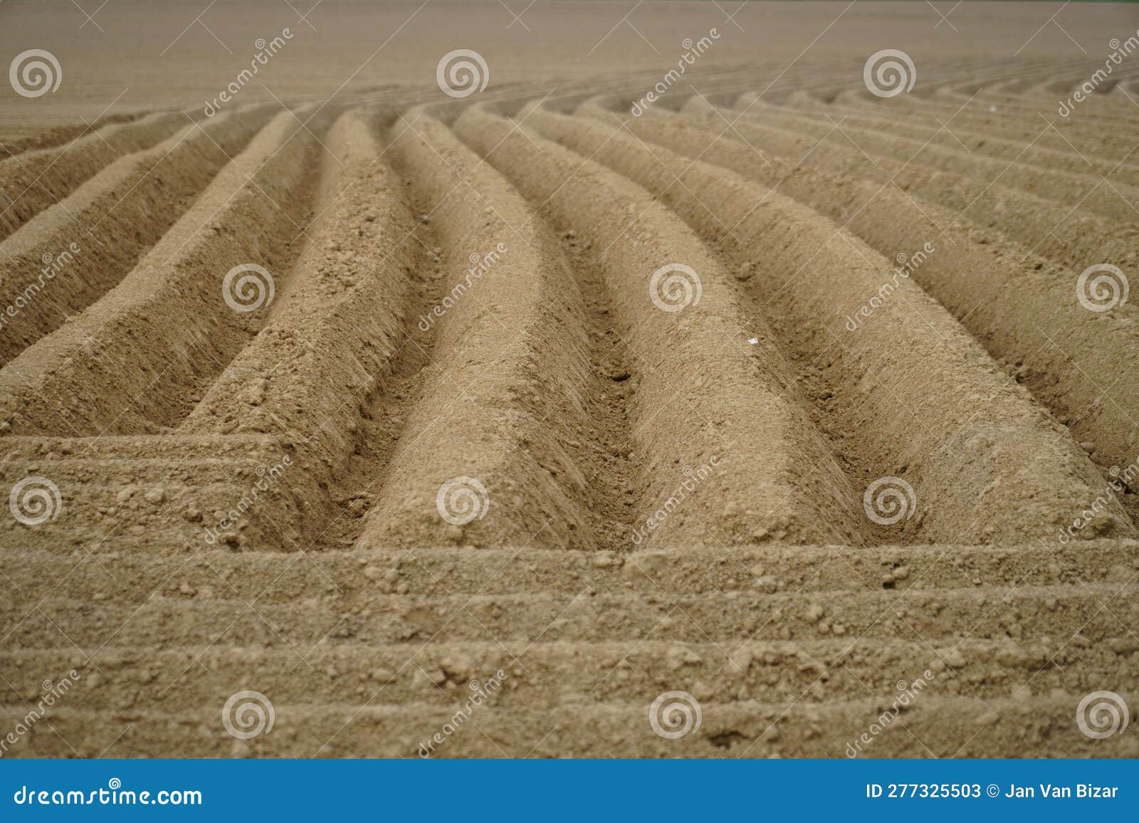 Freshly Plowed Field with Nice Curved and Bending Rows Stock Image ...