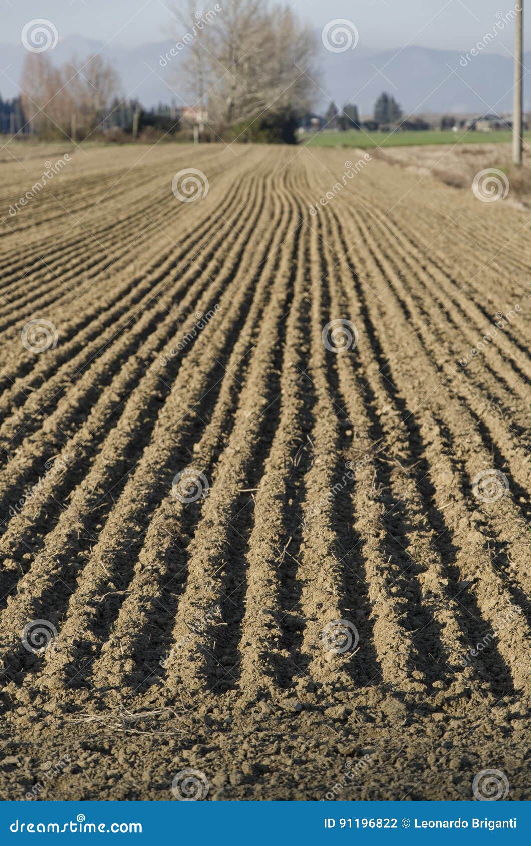 Freshly plowed ground stock photo. Image of cultivated - 91196822