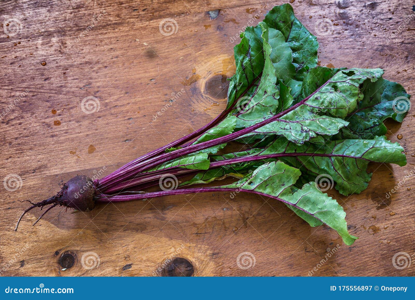 Fresh Beet stock image. Image of diet, agriculture, nature - 175556897