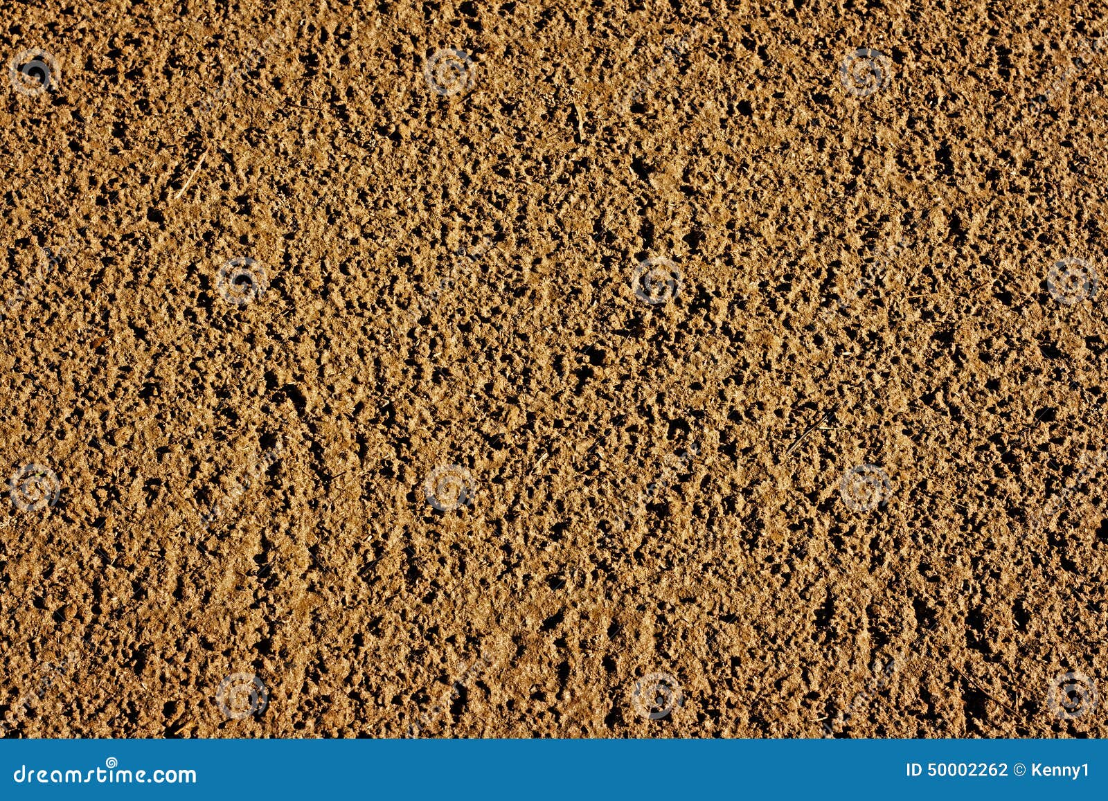 Freshly Raked Soil Ready for the Sowing of Seed Stock Photo - Image of ...