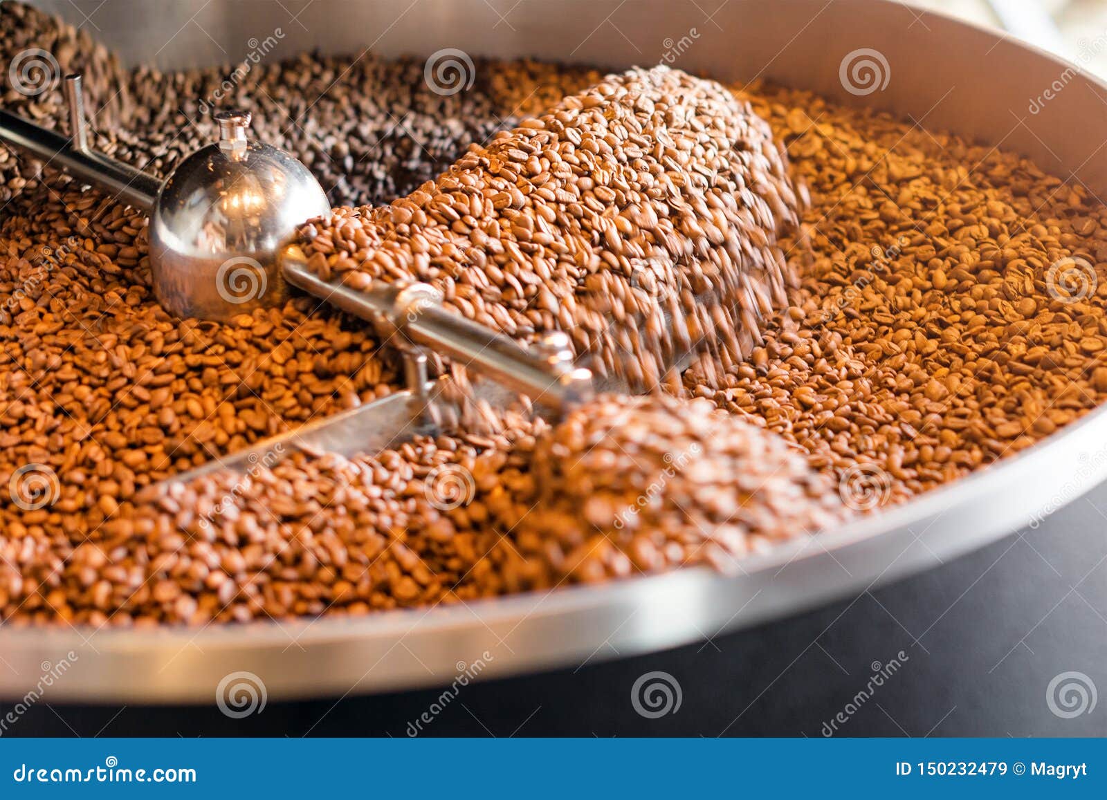 Freshly Roasted Coffee Beans from a Large Roaster in the Cooling ...