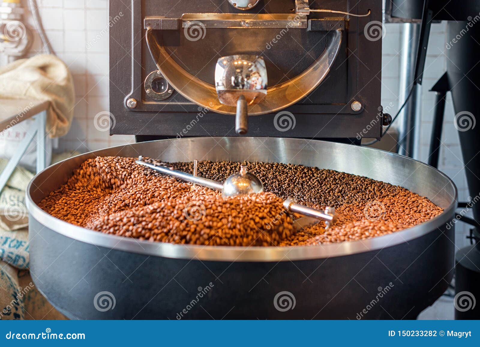 Freshly Roasted Coffee Beans from a Large Roaster in the Cooling ...