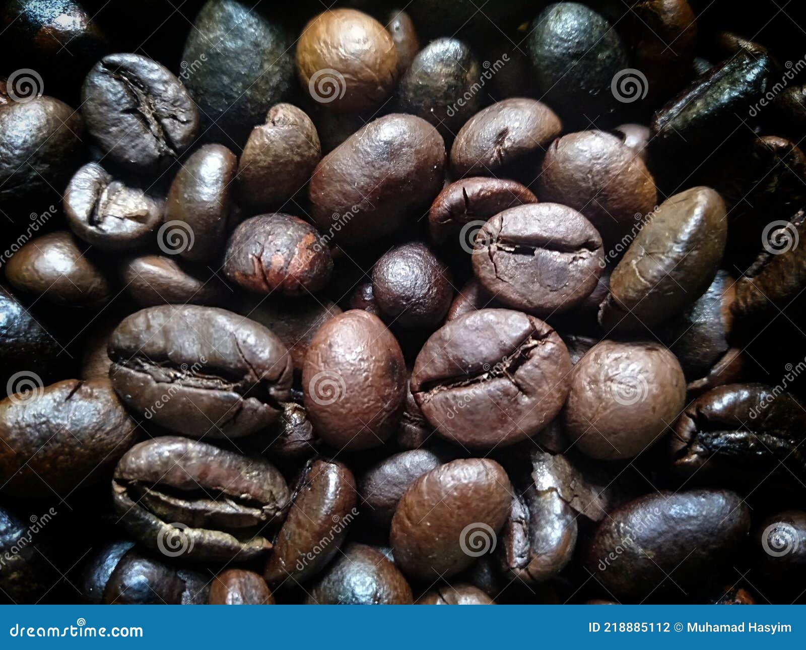Freshly Roasted Robusta Cofee Bean. Stock Photo - Image of robusta ...