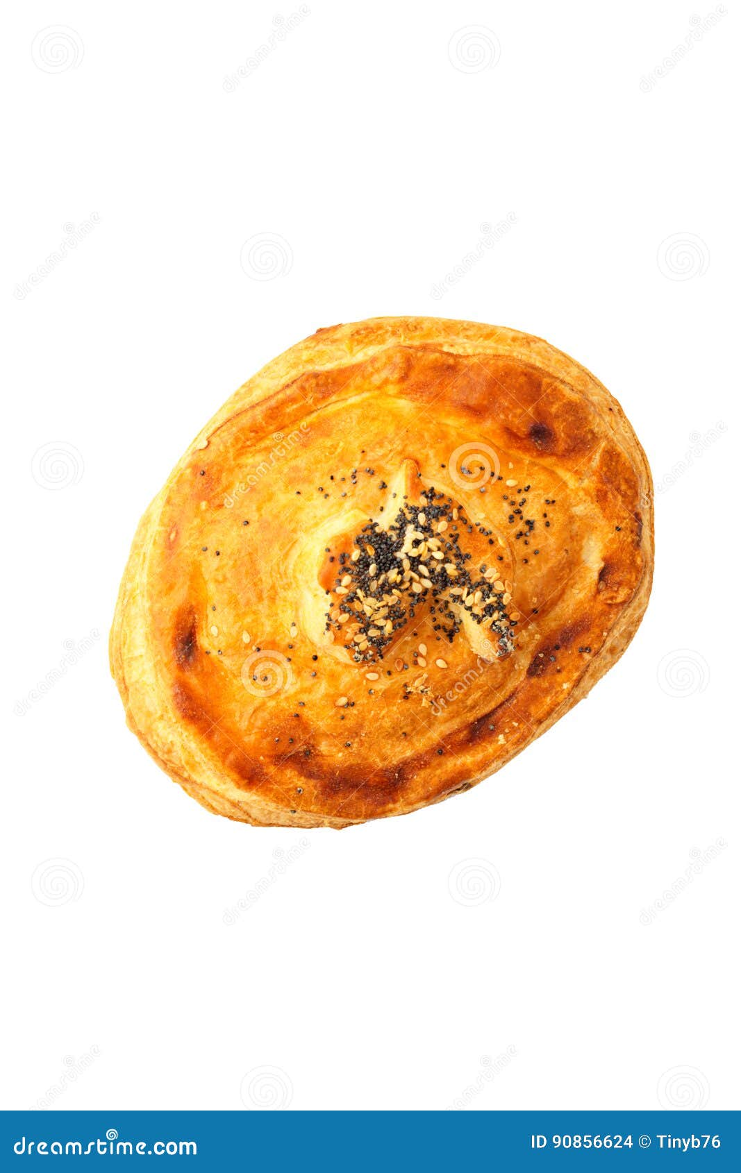 Freshly salmon pasty pie stock photo. Image of copy, bake - 90856624