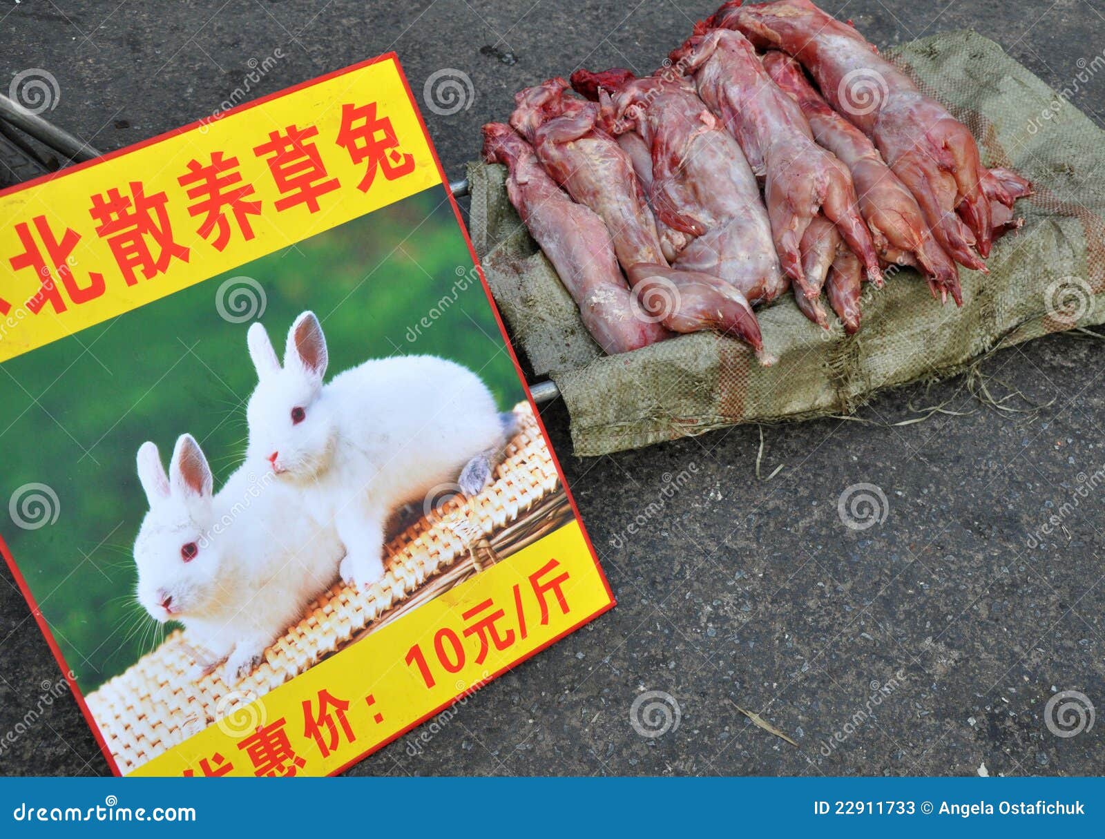 Freshly Skinned Rabbit editorial stock photo. Image of fresh - 22911733